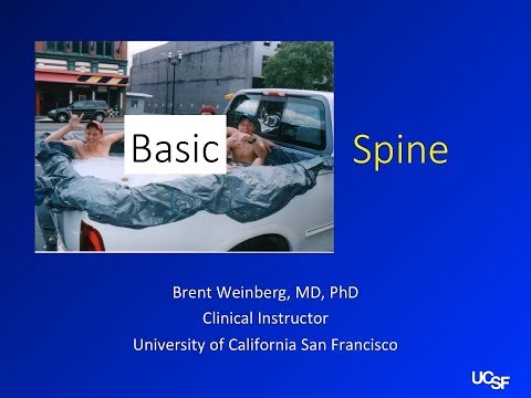 Basic spine imaging - ch 1 - introduction and anatomy