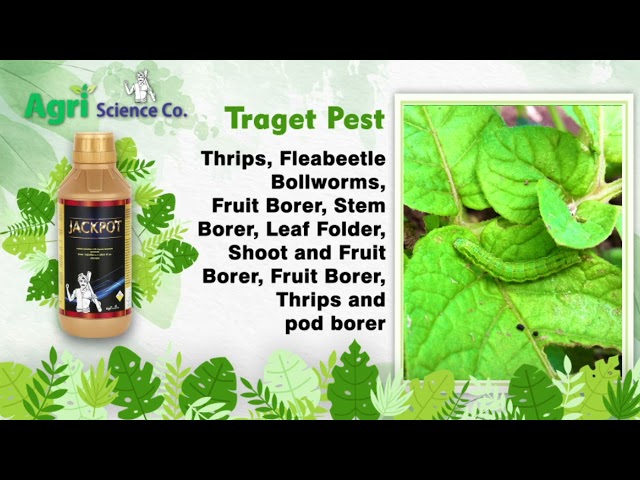 Agriculture Insecticide - Proxy Claim Emamectin Benzoate 5% Sg ...