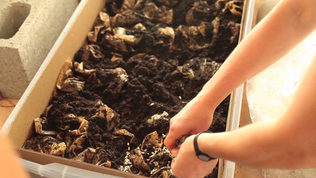 Building an indoor greywater system