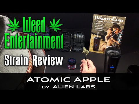 Atomic Apple Strain Effects – A1Cannabis