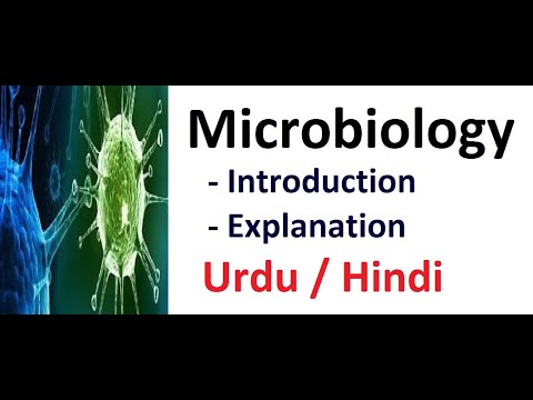 What is Microbiology With Full Information? Urdu / Hindi
