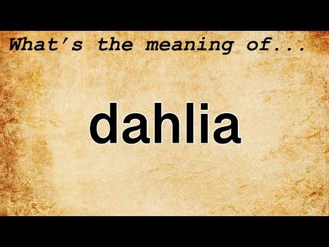 Dahlia Meaning : Definition of Dahlia