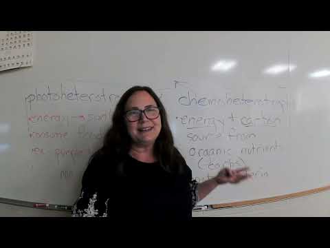 112 Bacteria - metabolism and symbiosis