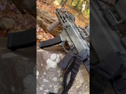 Is the cz scorpion one of the best pistol caliber carbines for the price? #pewlife #cz #scorpion