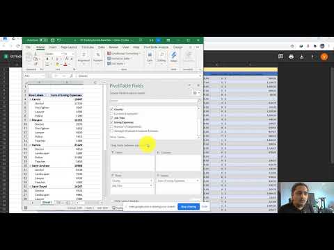 A pivot table’s intended use. – Island Class