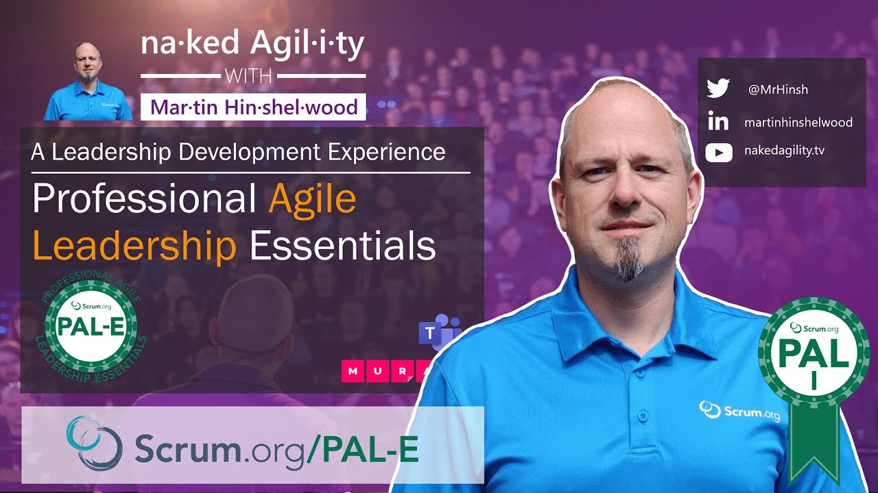 Professional Agile Leadership Essentials Overview
