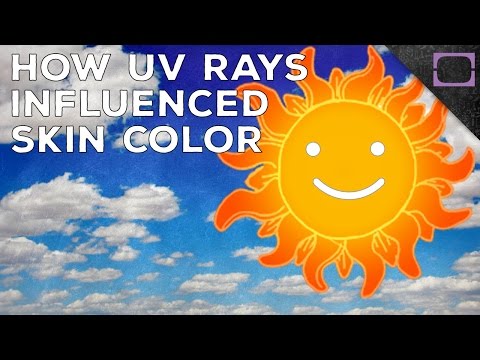 Why Do We Have Different Skin Colors? Evolution and the sun are ...