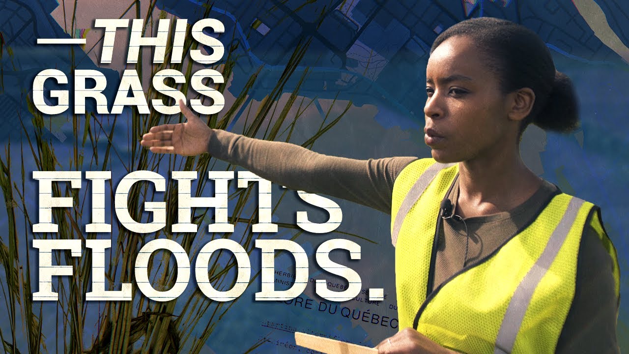 Can nature-based solutions save our cities from climate change? | Climate Warriors Documentary: Maka