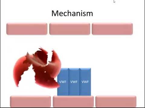 TTP-HUS Overview