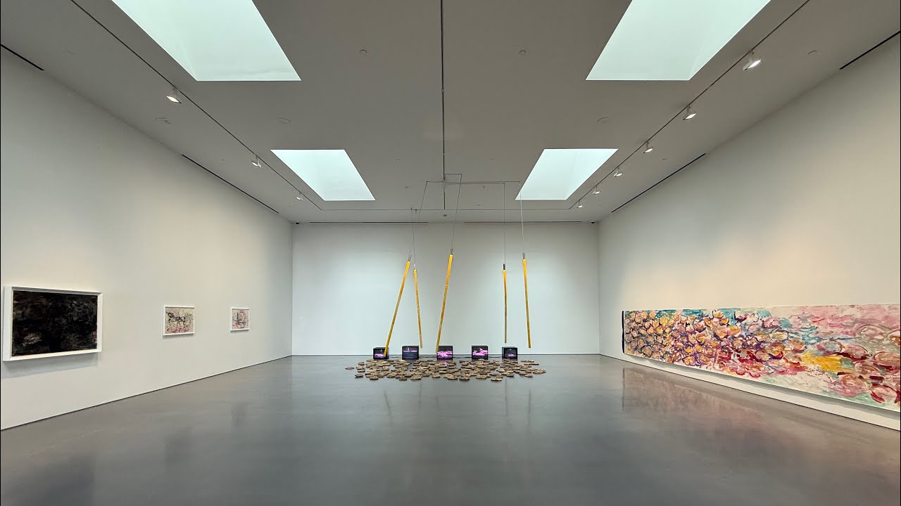 Carolee Schneemann • Lisson Gallery