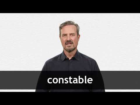 CONSTABLE 释义 | 柯林斯英语词典