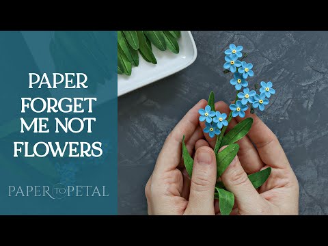 3D Paper Art - Making Forget Me Not (Myosotis) Flowers