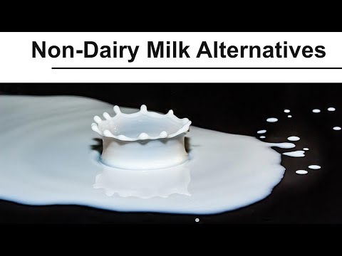 Non-Dairy Milk Alternatives