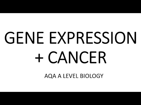 GENE EXPRESSION & CANCER - AQA A LEVEL BIOLOGY + EXAM QUESTIONS RUN THROUGH