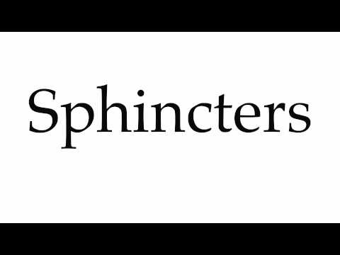 How to Pronounce Sphincters