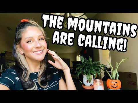 Moving to TENNESSEE!!!🚛⛰️ Here’s Why + Reading Your Comments!🖤