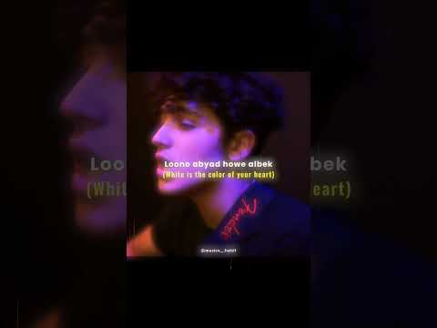 Issam Alnajjar - Hadal Ahbek (Lyrics) | Arabic + English Translation #shorts #lyrics #edit
