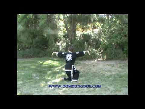 Tai Chi Chung