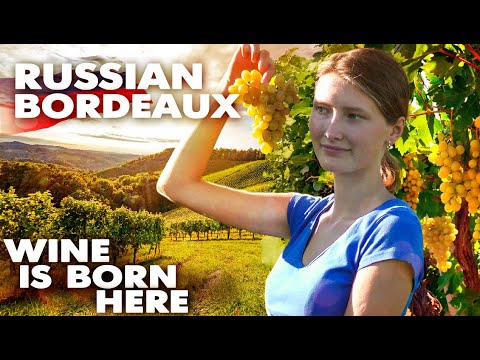 Russian "Bordeaux". The Center of winemaking in Russia. Wine is born here | Life in Russia