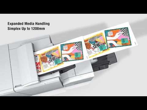 Brochure Printing Machine - Brochure Printer Latest Price ...