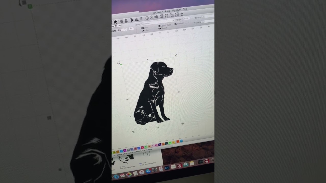 Vector Images vs Regular Image and when to use them