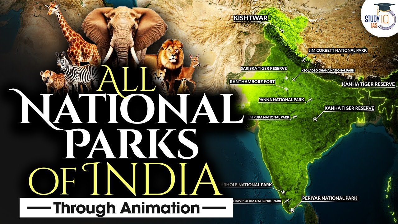 Exploring the National Parks of India: A Comprehensive Guide | Galaxy.ai