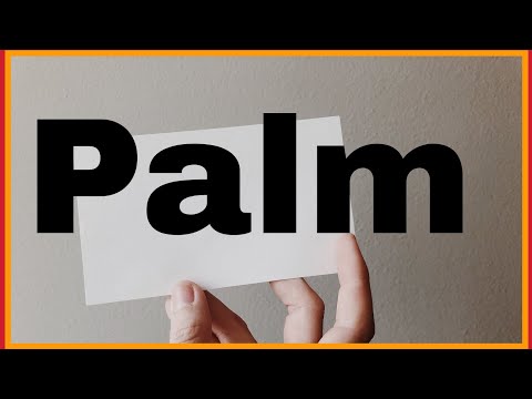 Palm meaning in hindi/Palm ka matlab kya hota hai