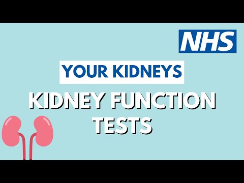 Tests to check kidney function | UHL NHS Trust
