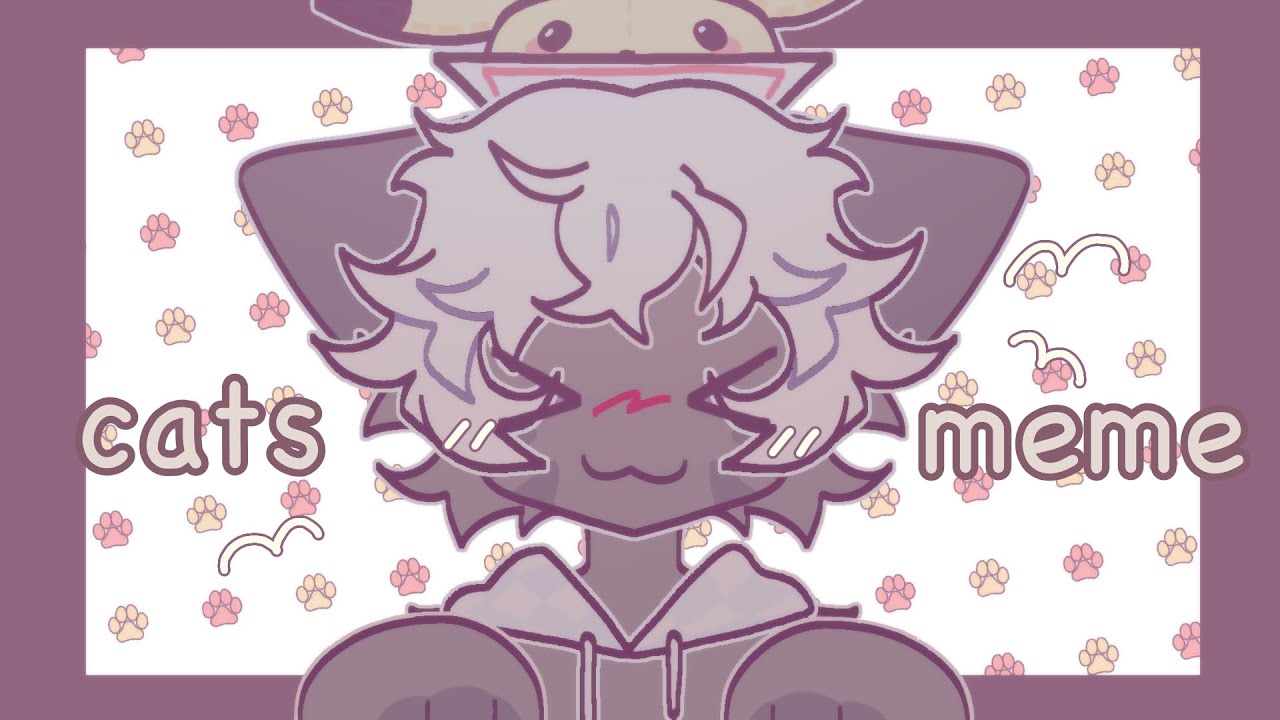 CATS || ANIMATION MEME || FLIPACLIP