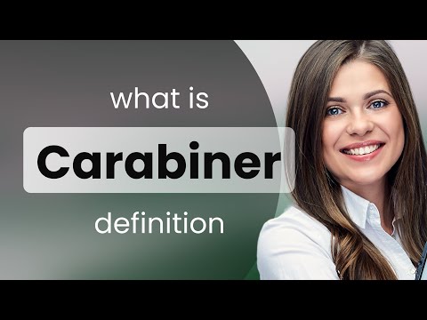 Carabiner — definition of CARABINER