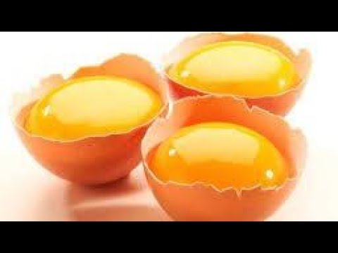 Feeding layers on green leaves to get yellow yolk eggs. How to improve immunity of layers