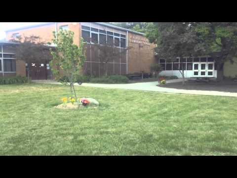 28771 Bella Vista elementary school