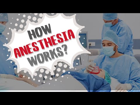 What Happens in Our Brain During Anesthesia? Sedation Simplified!
