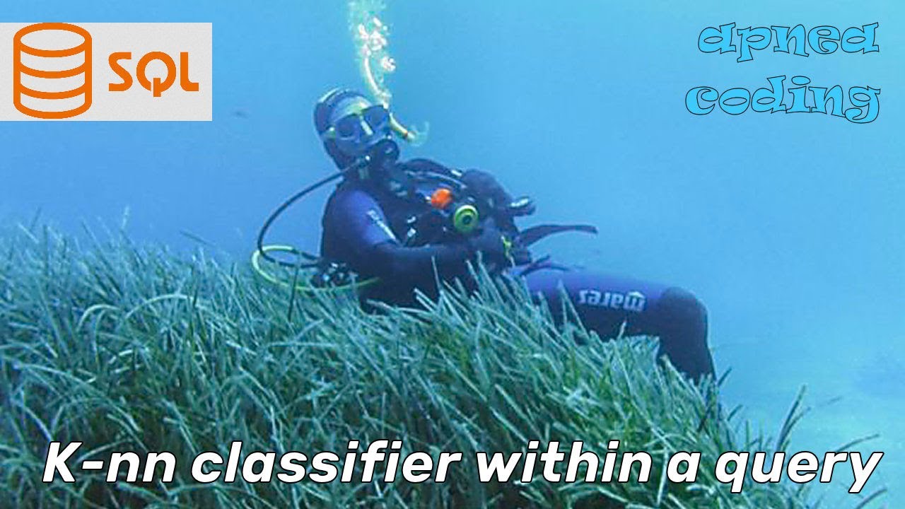 asmr coding K-nn classifier in SQLite #asmr #coding #programming #notalking #sql