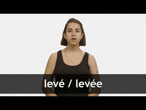 English Translation of “LEVÉ” | Collins French-English Dictionary