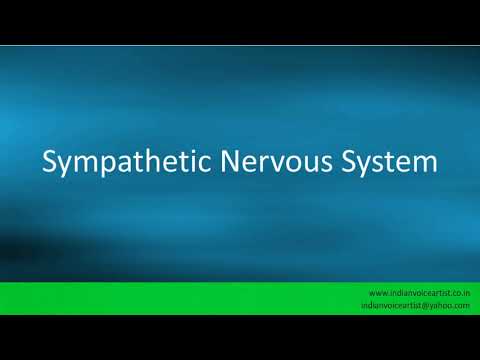 Pronunciation of the word(s) "Sympathetic Nervous System".
