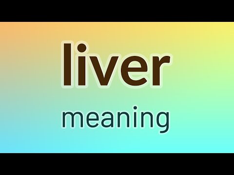Liver - 60 English Vocabulary Flashcards