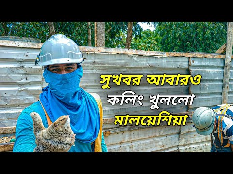 মালয়েশিয়া বর্তমান পরিস্থিতি ও নতুন কলিং নিয়োগ ২০২৫।Malaysia New Calling Recruitment 2025 |