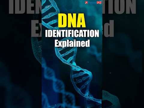 How Does DNA Reveal Your Identity?