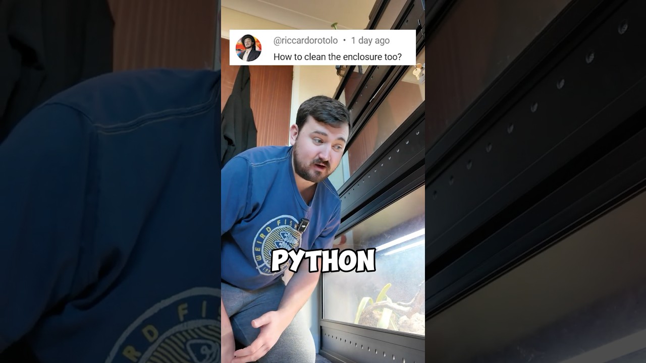 How do I clean my python tank?