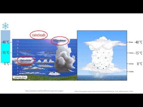 Taming microbial ice nucleators, Part II : a short video | Biological ...