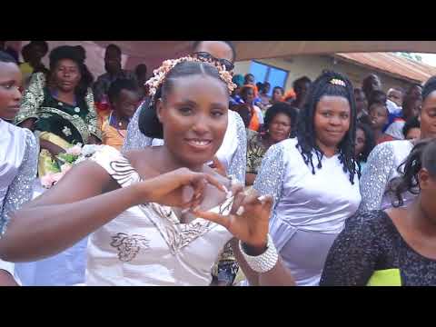 Brenda's Introduction