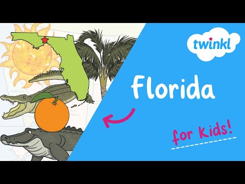 🍊 All About Florida for Kids | Florida History and Fun Facts | Twinkl USA