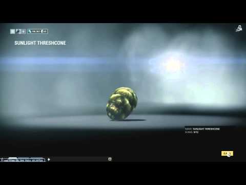 Warframe Codex