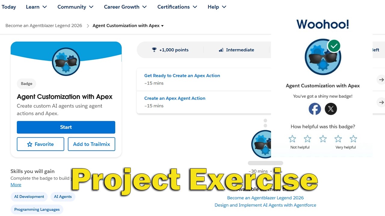 Agent Customization with Apex Follow Along Project Exercise