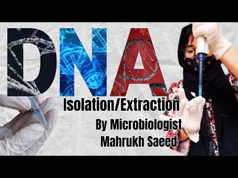 Step to Step DNA Isolation/Extraction Protocol From Pure Culture | Molecular Biology Lab Techniques