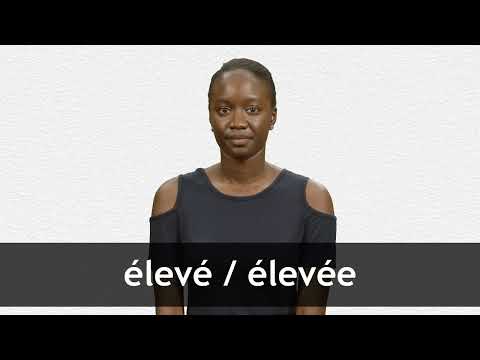 English Translation of “ÉLEVÉ” | Collins French-English Dictionary