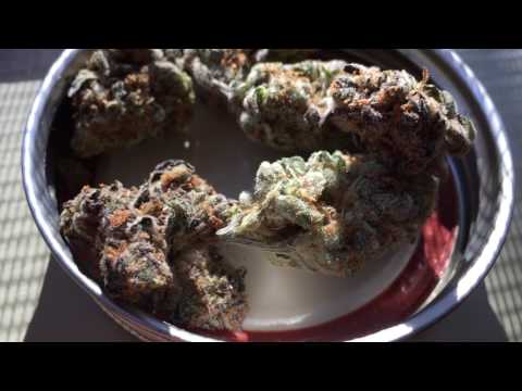 Forum Cookies