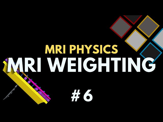 Understanding MRI Weighting: T1, T2, and Proton Density | Galaxy.ai