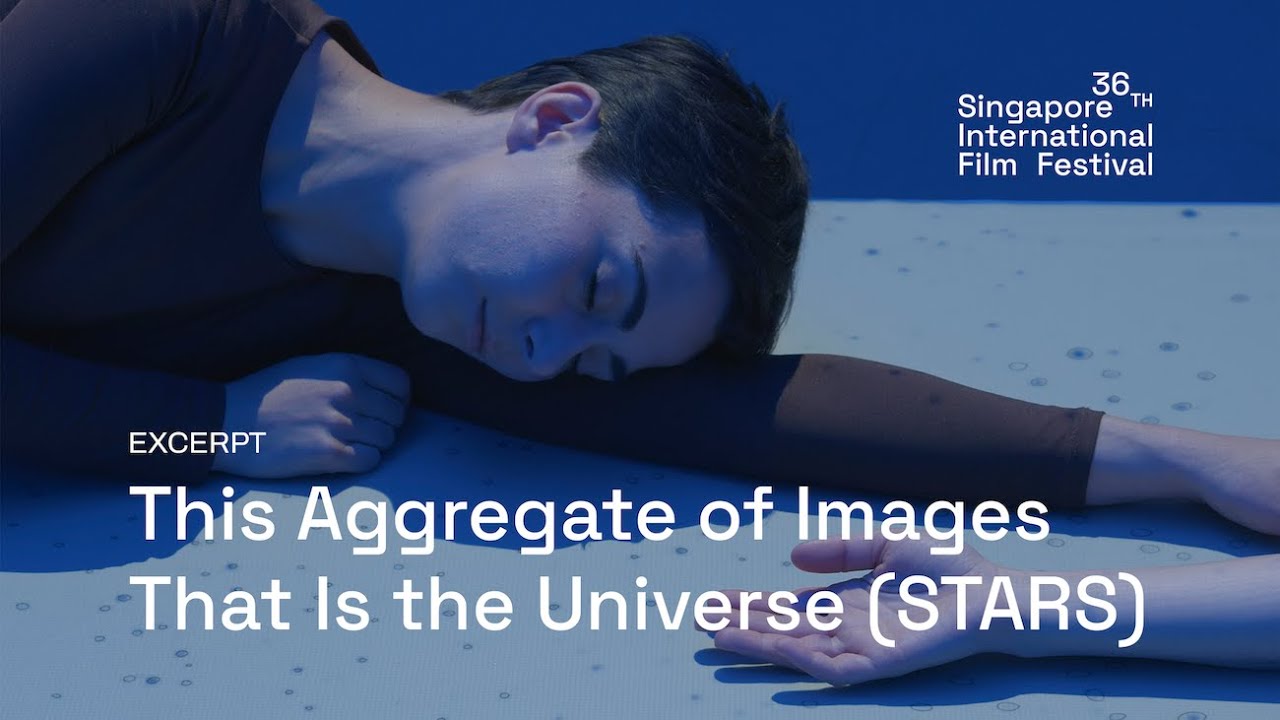 This Aggregate of Images That Is the Universe (STARS) Excerpt | SGIFF 2025